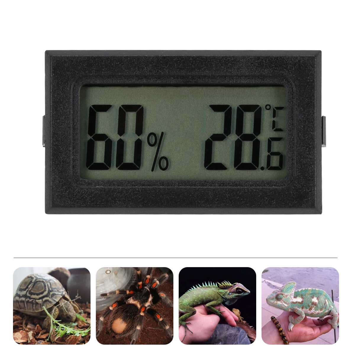Masteelf 5 Pcs Mini Hygrothermograph Moisture Meter for Plants Humidity ...