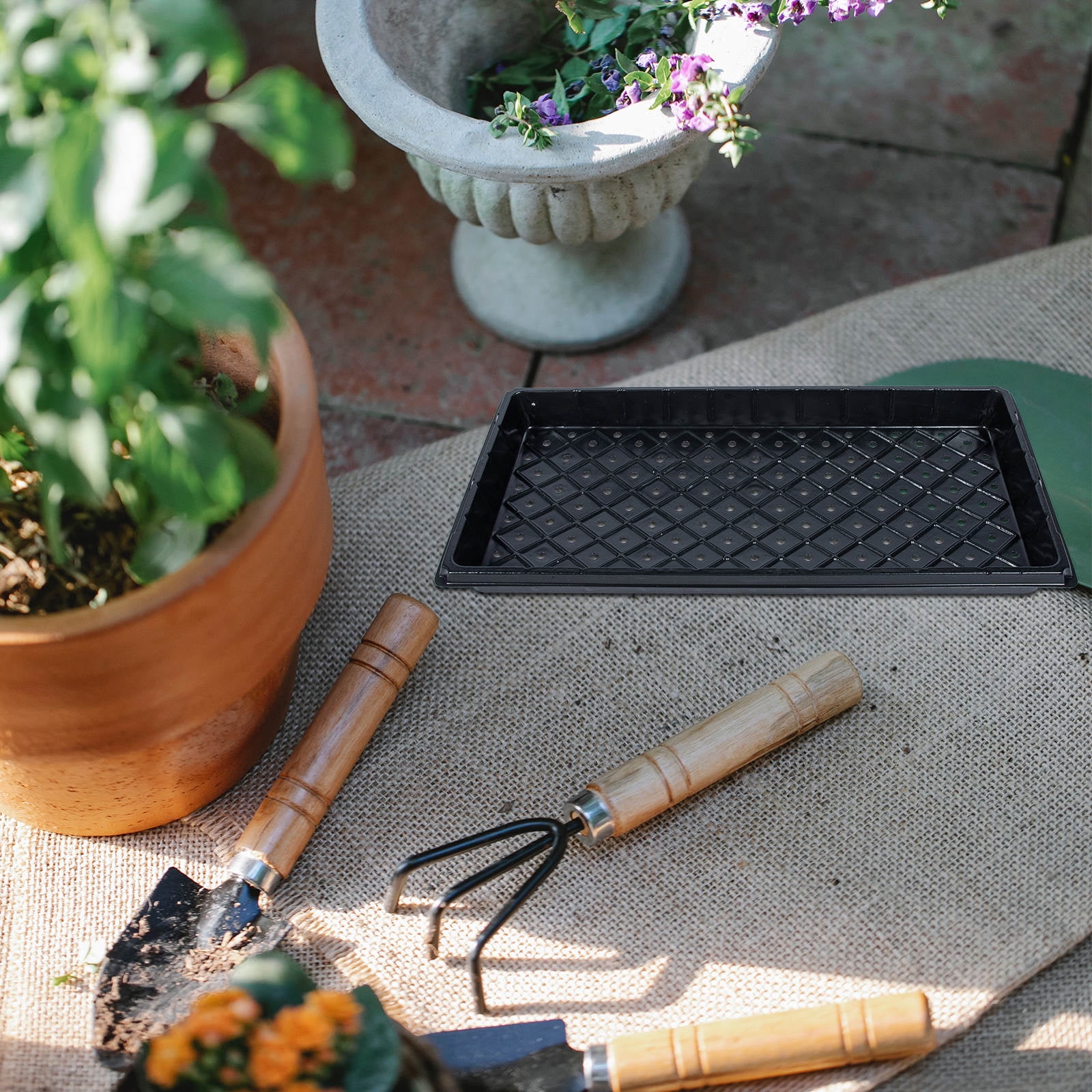 Masteelf 5 Sets Planters Seedling Plate Flat Small Germination ...