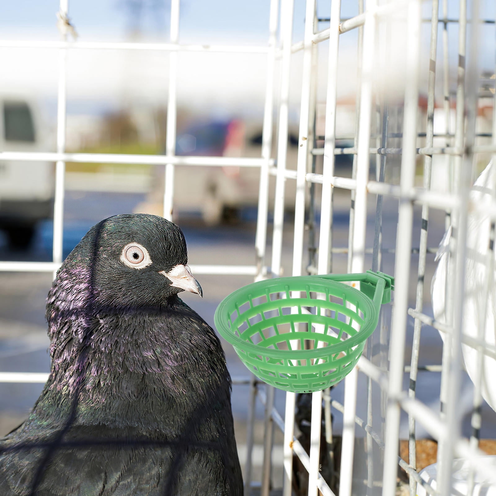 Masteelf 6pcs Pigeon Bird Nesting Bowl Bird Hatching Bowls Plastic ...