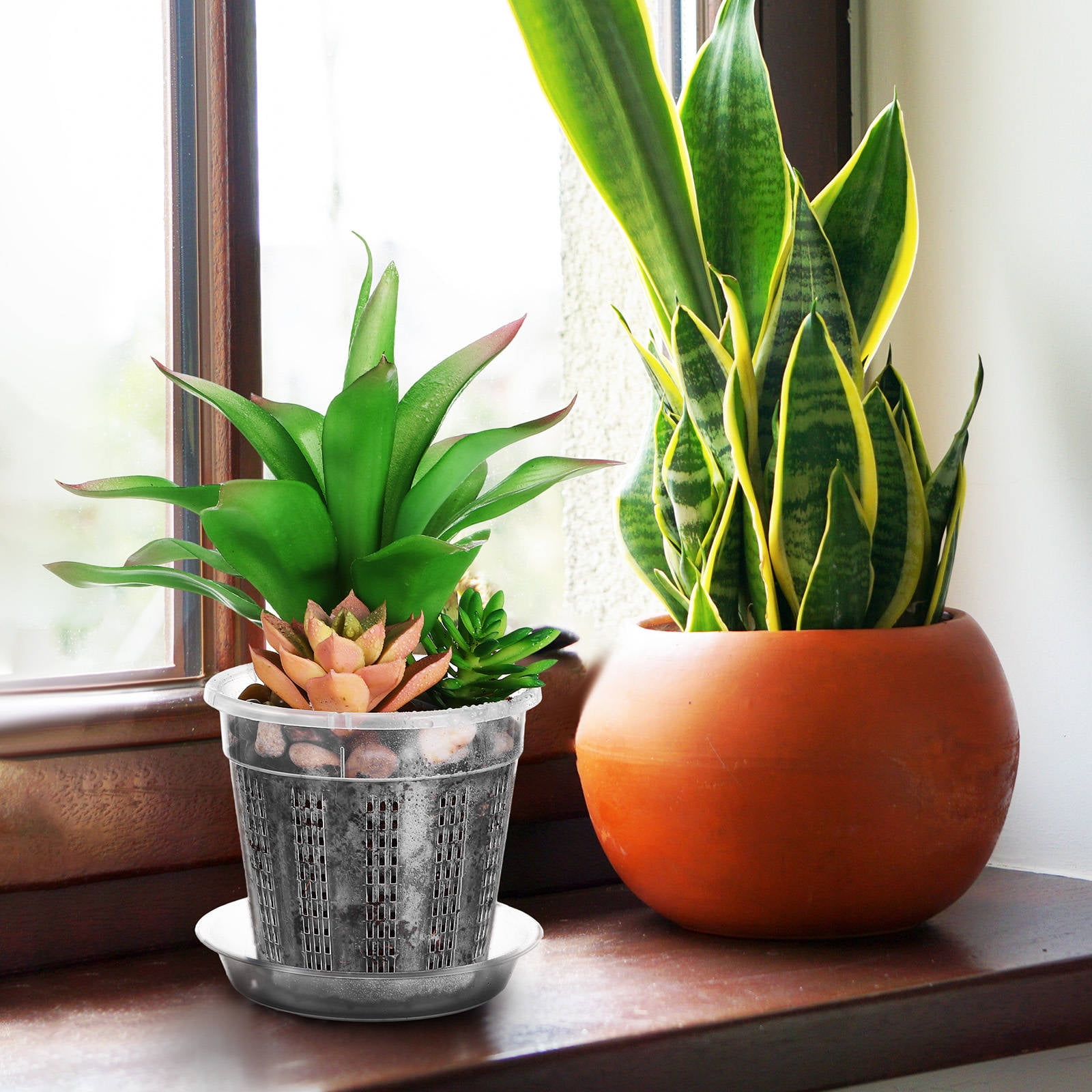 Masteelf 8 Pcs Clear Plastic Plant Pots with Drainage Holes Transparent ...