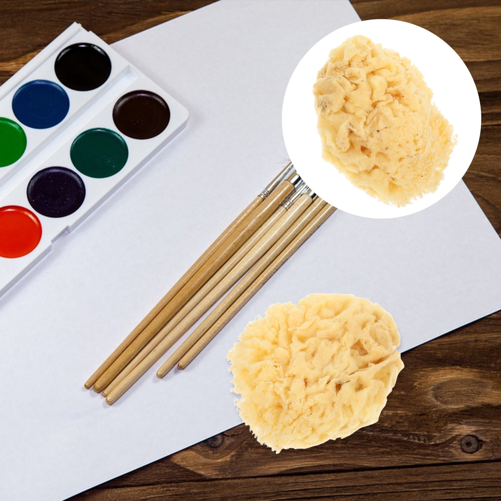 Masteelf Artist Sea Sponge Soft and Absorbent Suitable for Watercolor ...