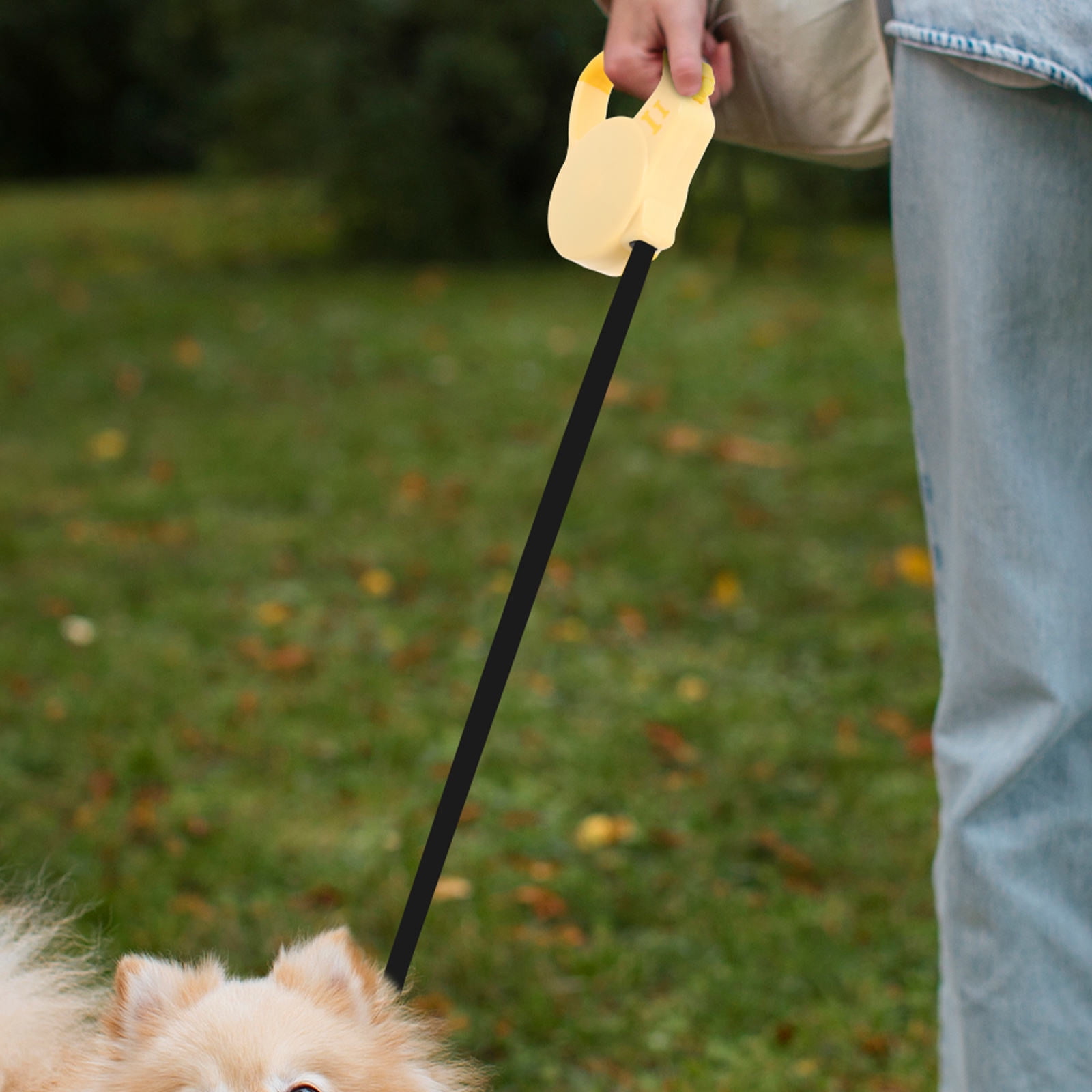 Masteelf Automatic Retractable Dog Leash For Small Medium Dogs Durable ...