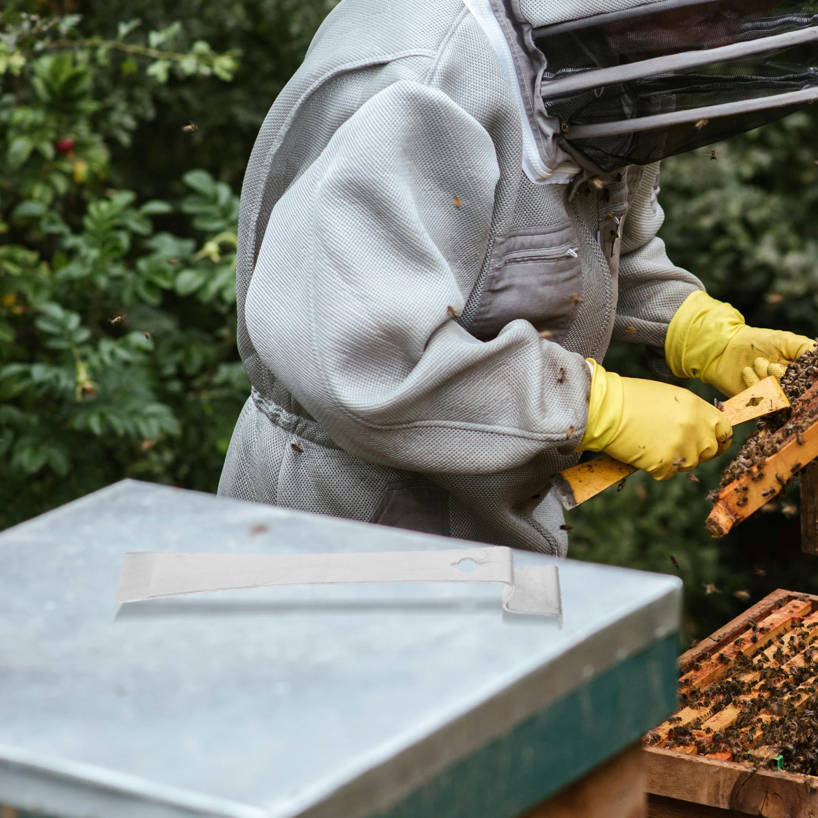 Masteelf Beehive Scraper Curved Head Scraper Beekeeper Scraping Tool ...