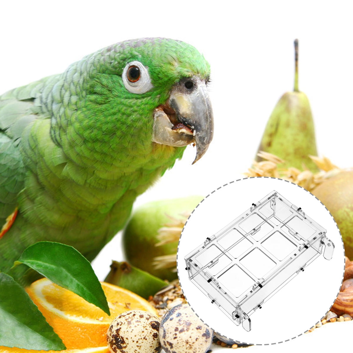 Masteelf Bird Cup Splash-proof Food Box Feeder Cages for Pigeons ...