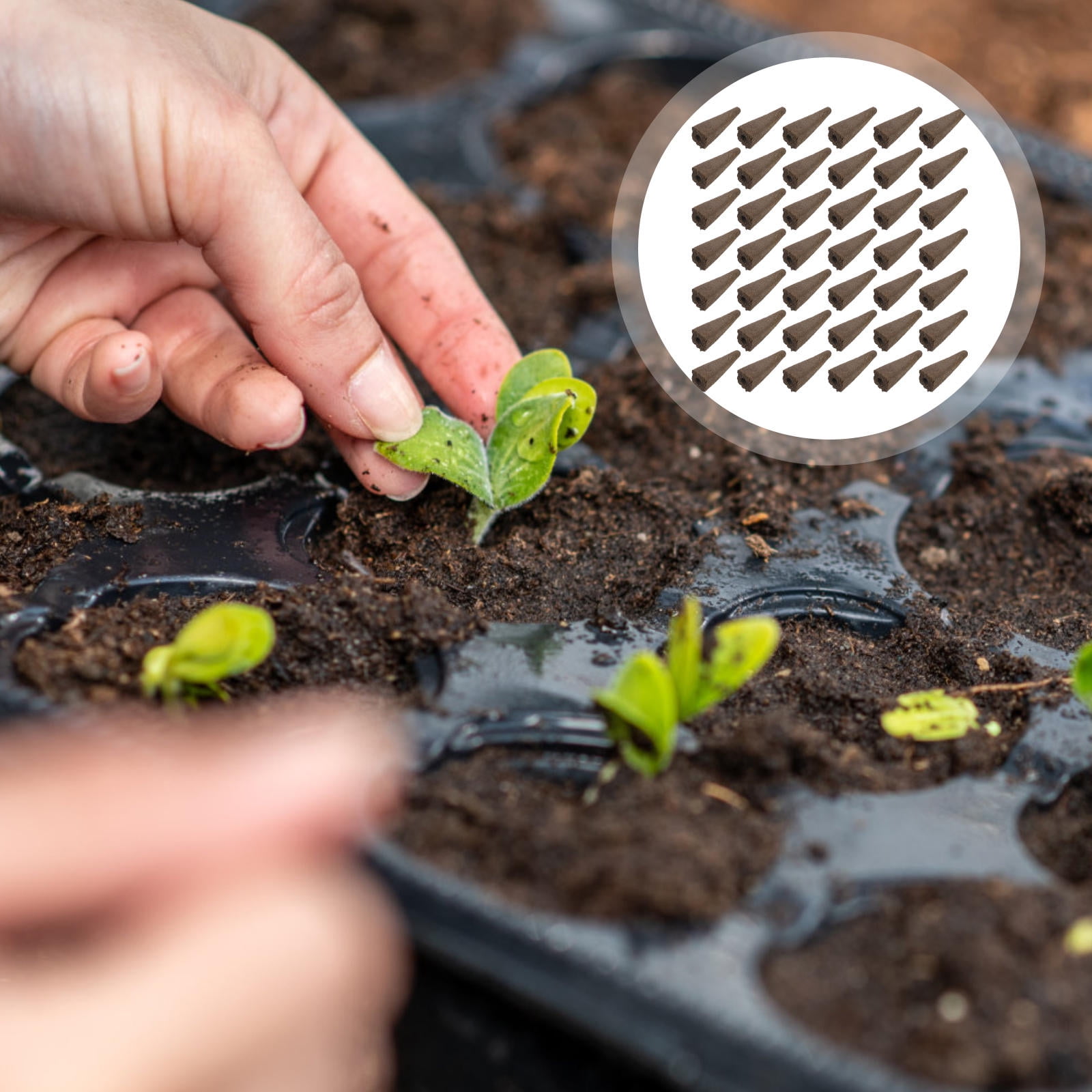 Masteelf Coffee Synthetic Nutrient Soil Blocks for Plant with Rich ...