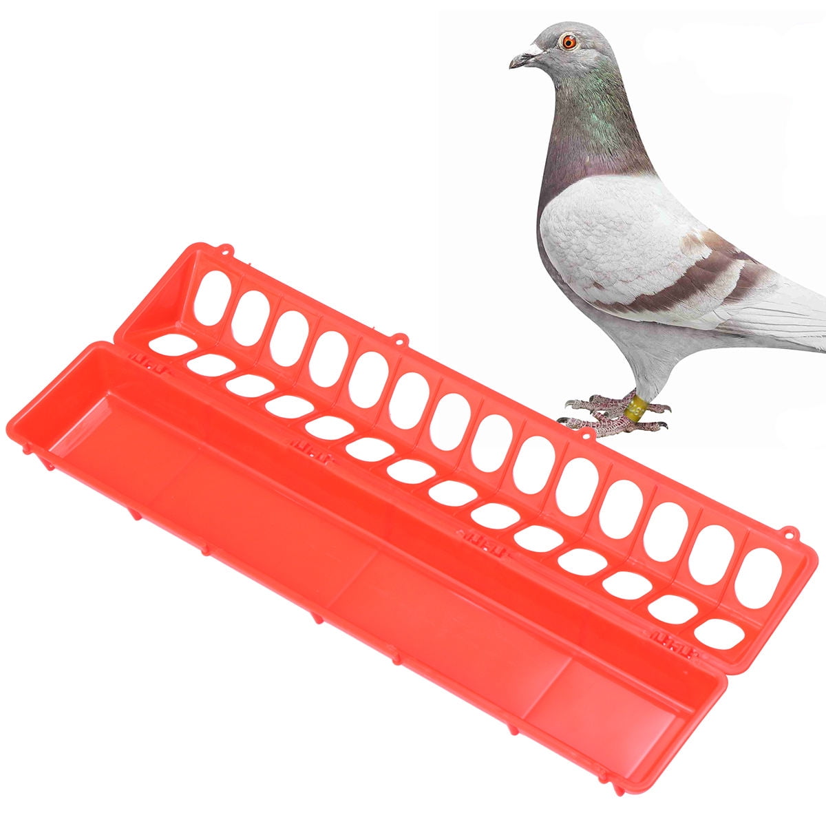 Masteelf DIY Food Tank Chicken Stock Trough Pet Store Feeder Pigeon ...