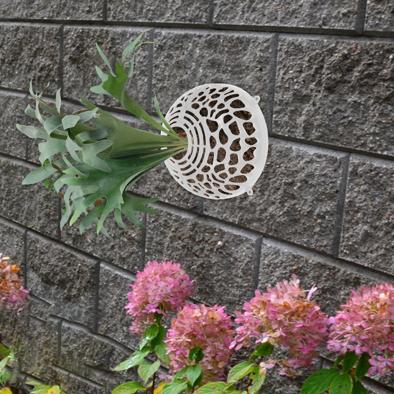 Masteelf Detachable plants Soil Protector for Staghorn and Phalaenopsis ...