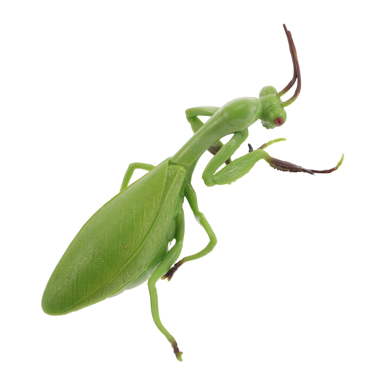 Masteelf Educational Mantis Model for Children Realistic Insect Toy ...