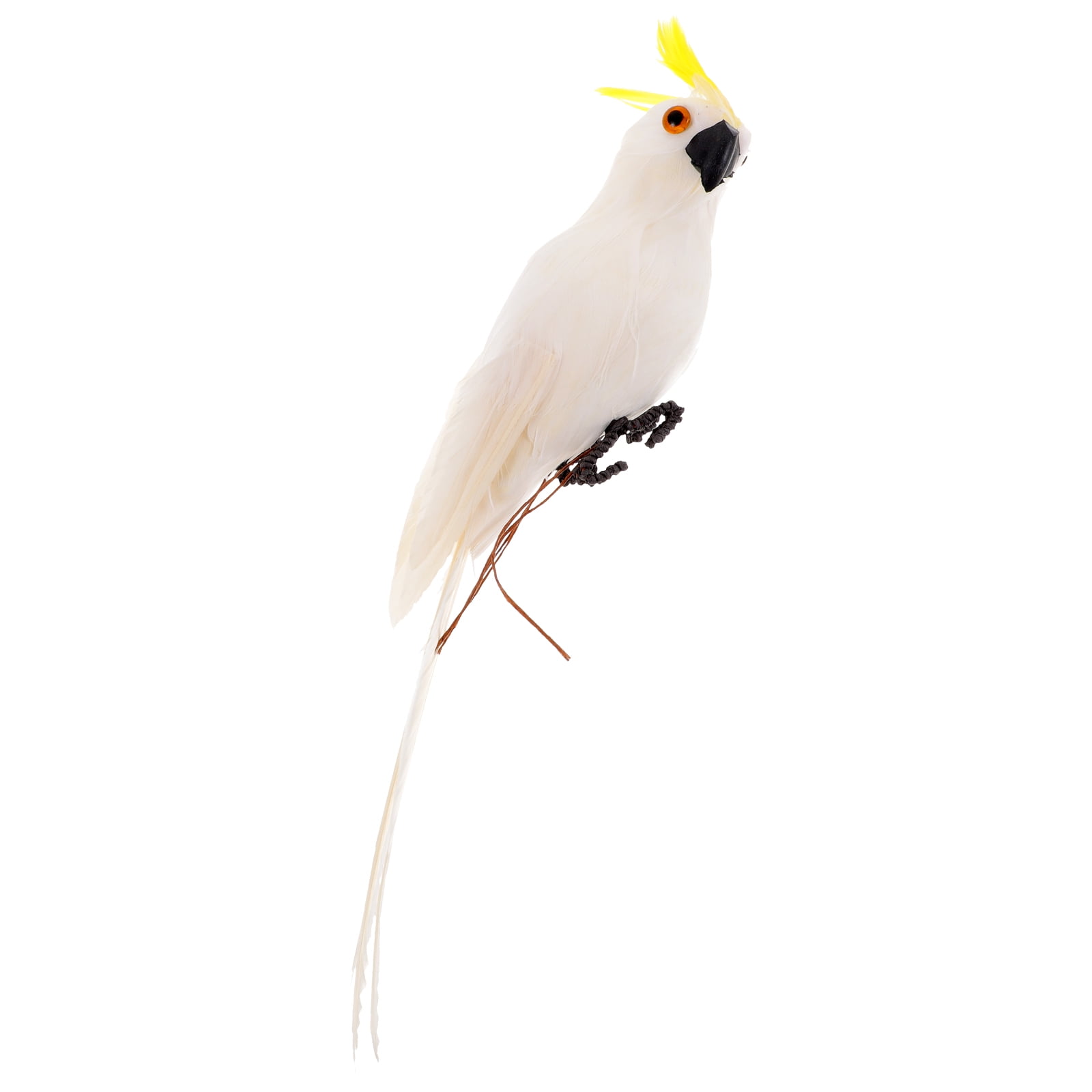 Masteelf Fake Parrot for Craft Kids Educational Model Fake Parrot ...