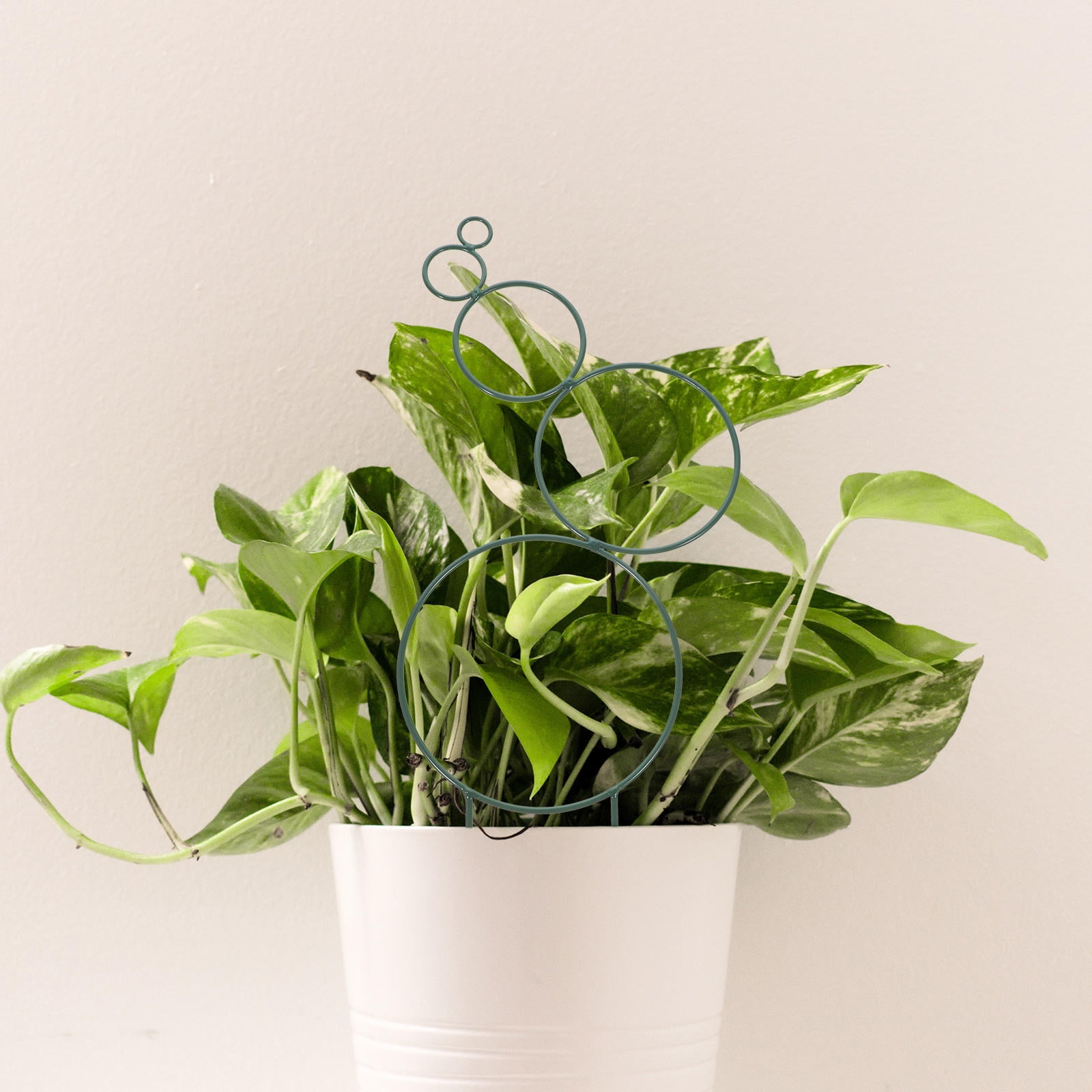 Masteelf Garden Trellis Peony Cages for Climbing Frame Stem Plant ...