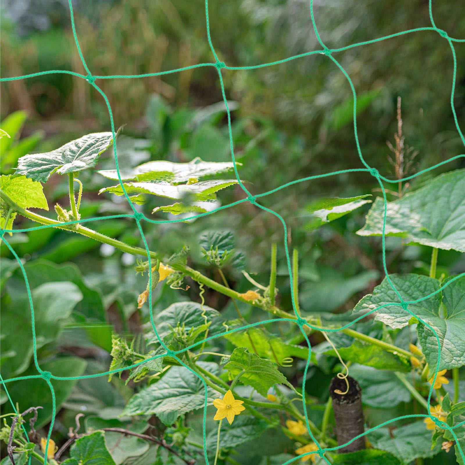 Masteelf Hemoton 2pcs Climbing Plants Net Garden Trellis Netting ...