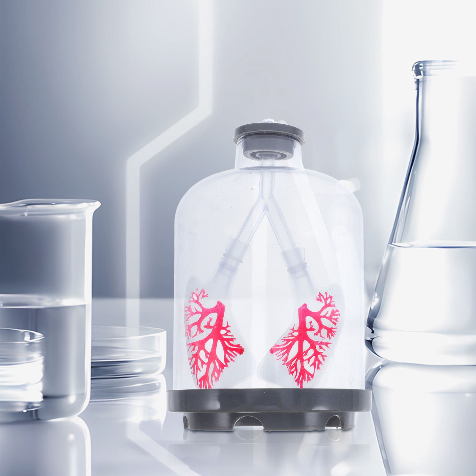 Masteelf Human Lung Anatomical Display Diaphragm Movement Simulator ...