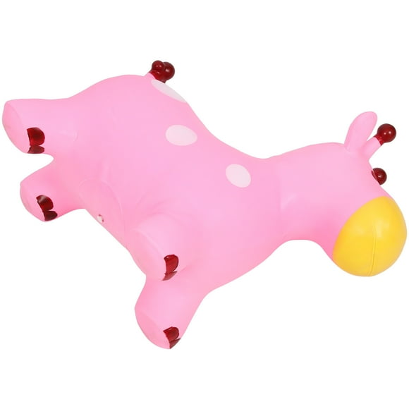 Inflatable Horse Bouncer