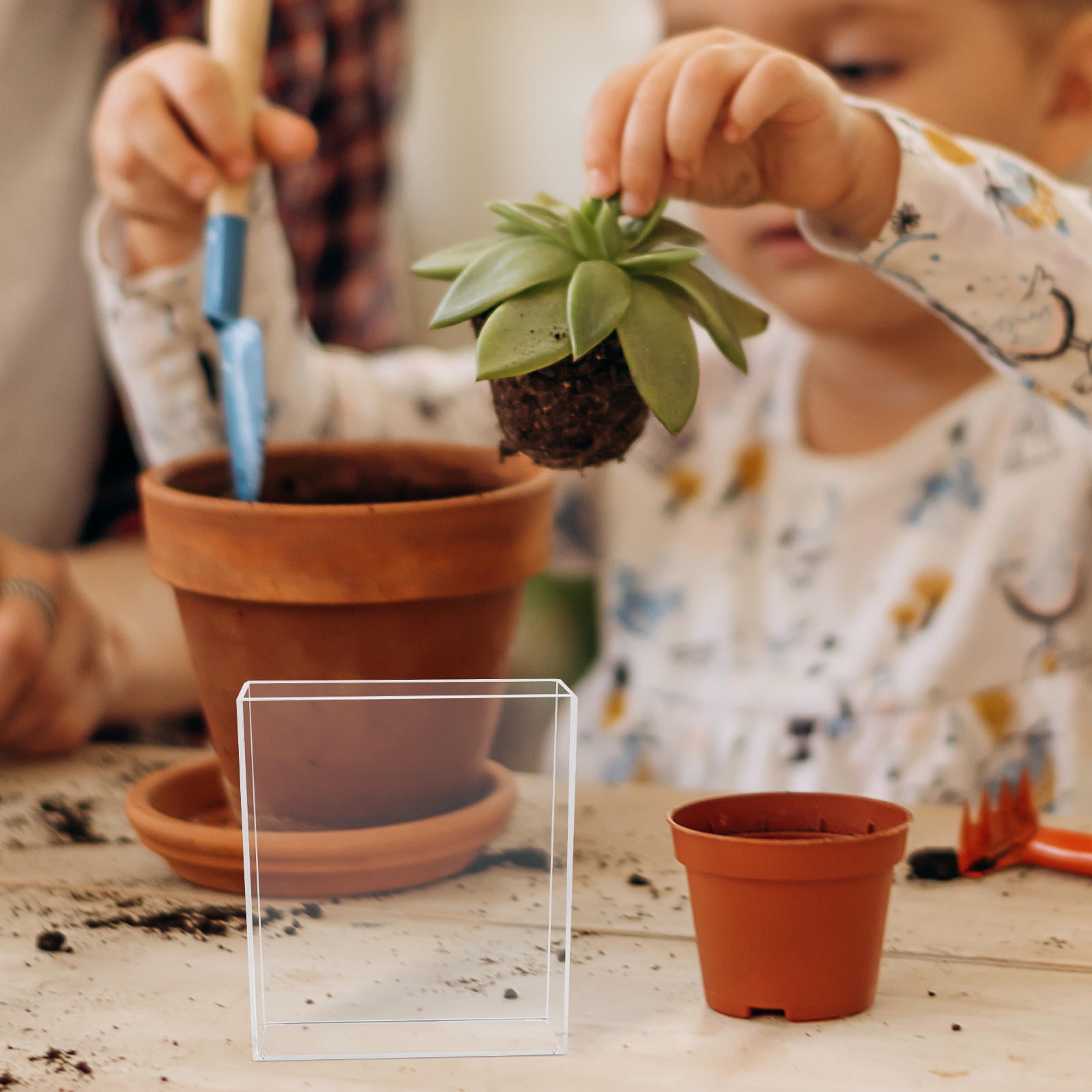 Masteelf Kids Gardening Kit Root Viewer Mini Greenhouse Indoor Seedling ...