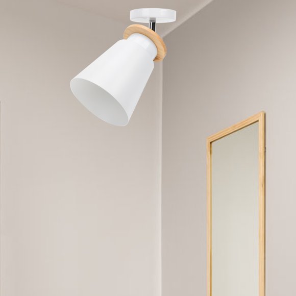 Decorative Light Fixture