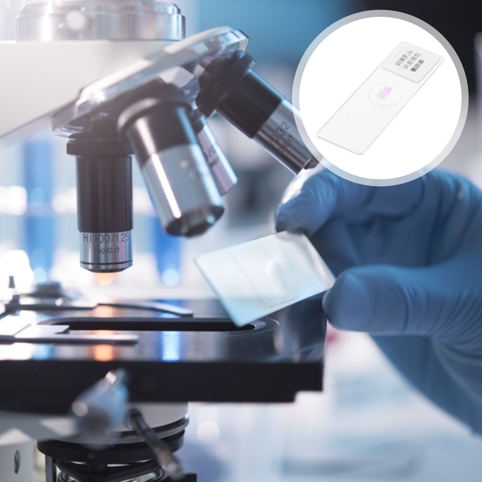 Masteelf Microscope Specimen Slide Pathology Section Cell Slides ...