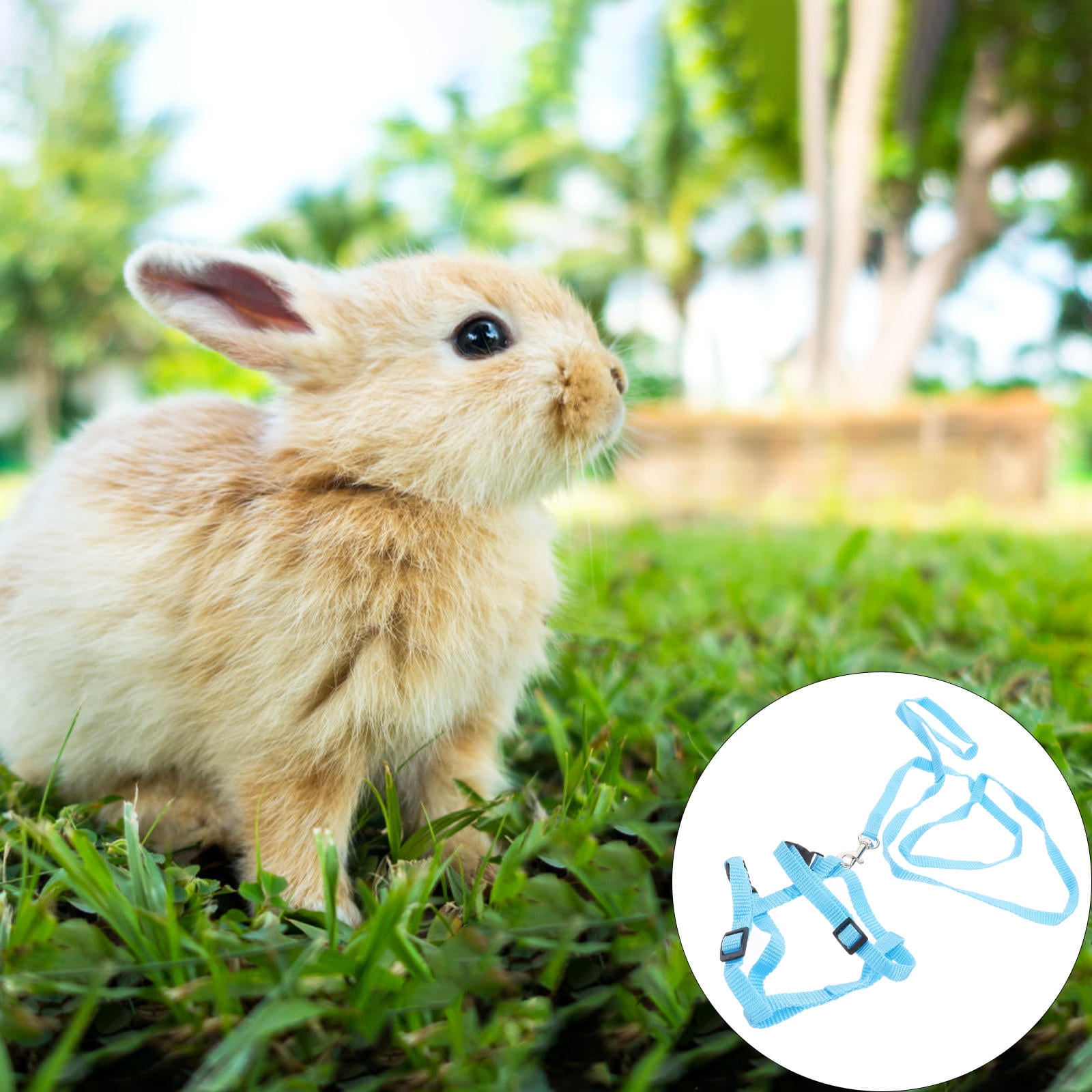 Masteelf Pet Pulling Rope Pet Traction Rope Rabbit Pulling Rope M ...