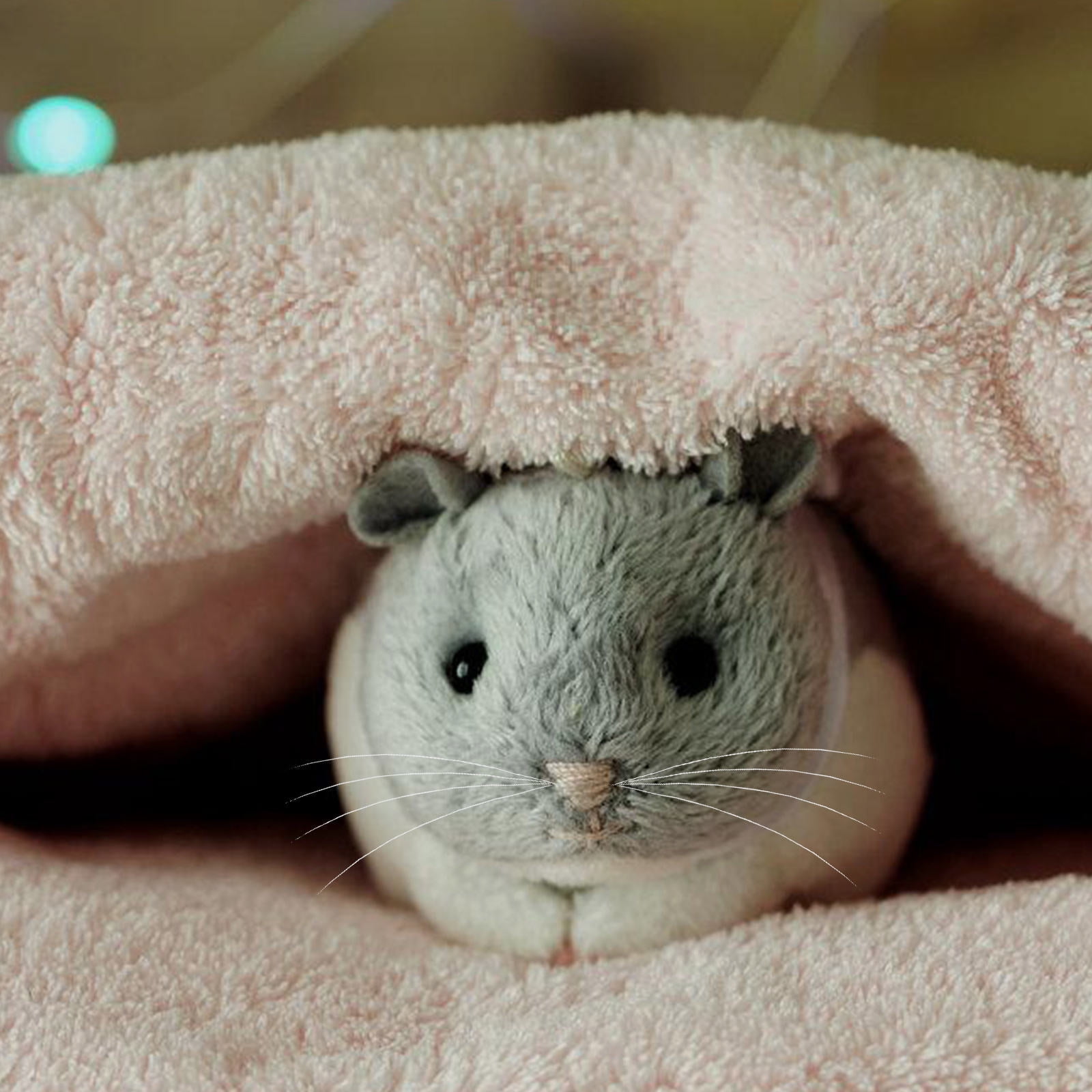 Masteelf Realistic Fox Whiskers Transparent White Pointed Tips Lifelike ...