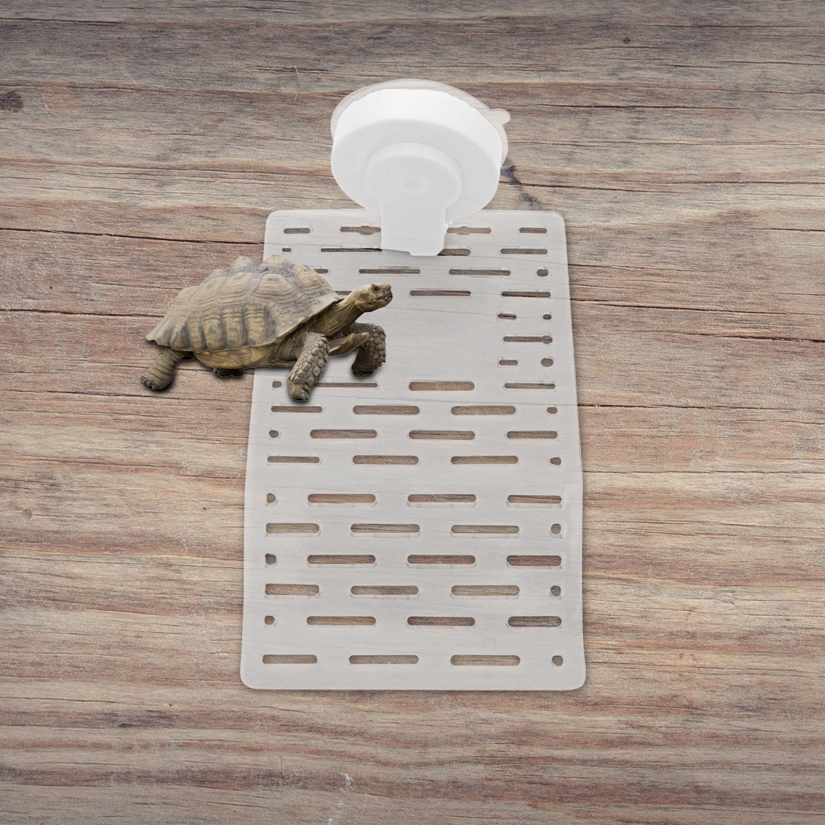 Masteelf Reptile Climbing Turtle Tank with Bottom Drain Aquarium for ...