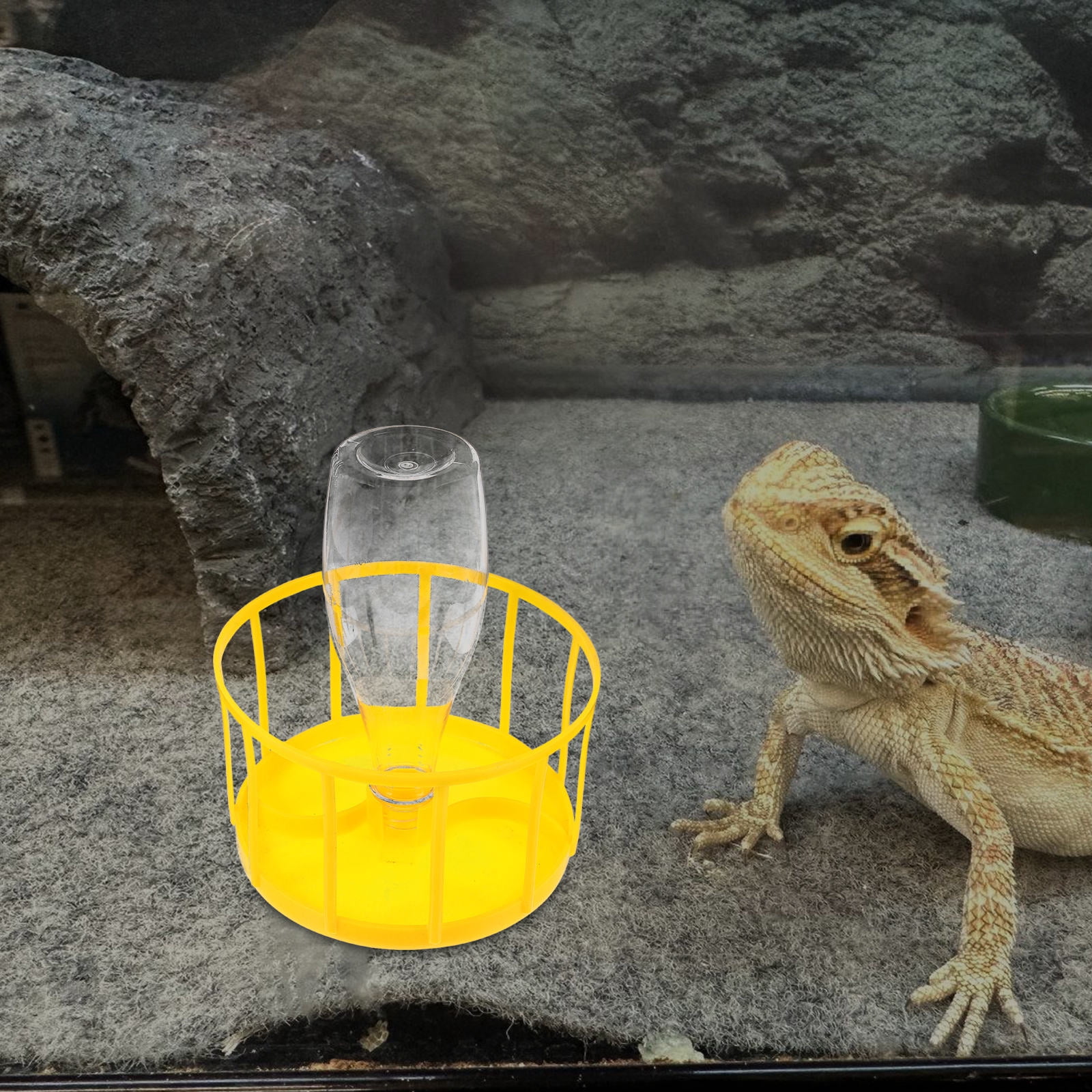 Masteelf Reptile Water Dish Tortoise Water Bowl Automatic Water Feed ...