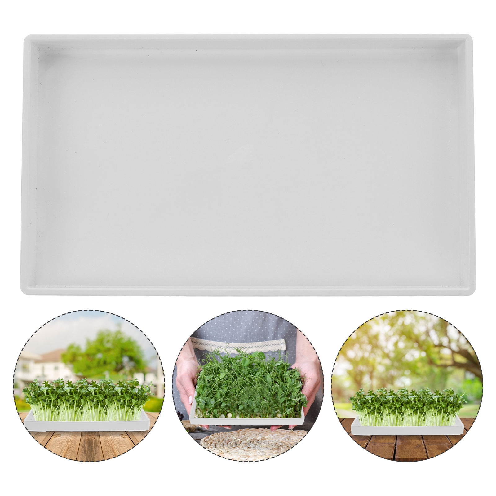 Masteelf Reusable Jar Sprouting Tray Space-Saving and Easy-to-Clean ...