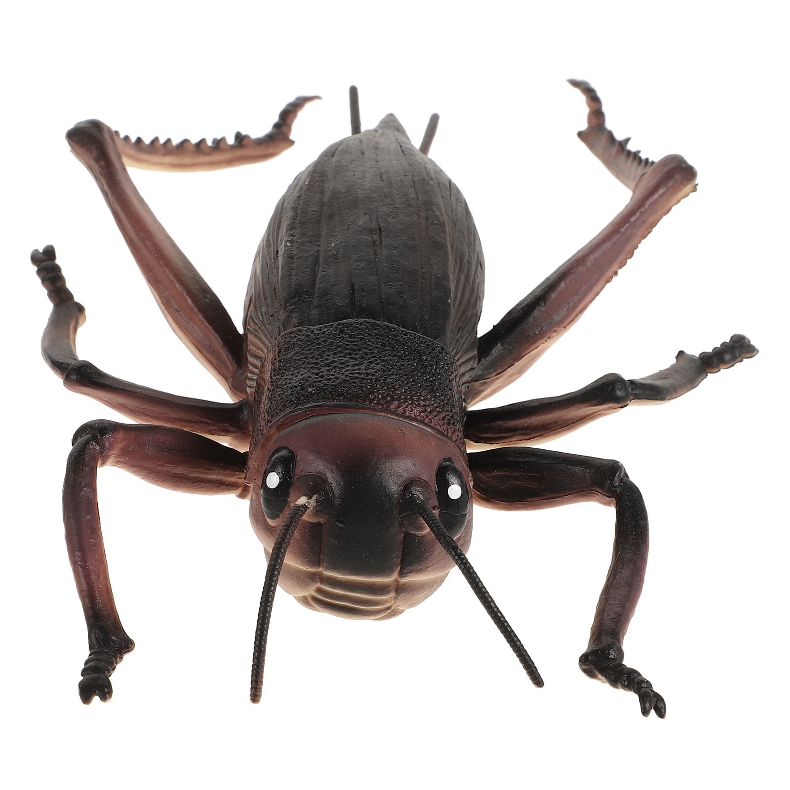 Masteelf Simulated Cricket Large Cricket Decoration Cricket Figurine ...