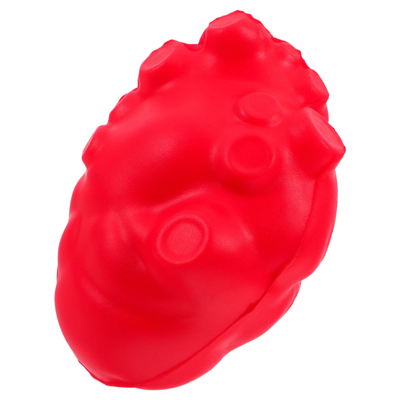 Masteelf Simulation Human Organ Model For Teaching Realistic Heart Toy ...