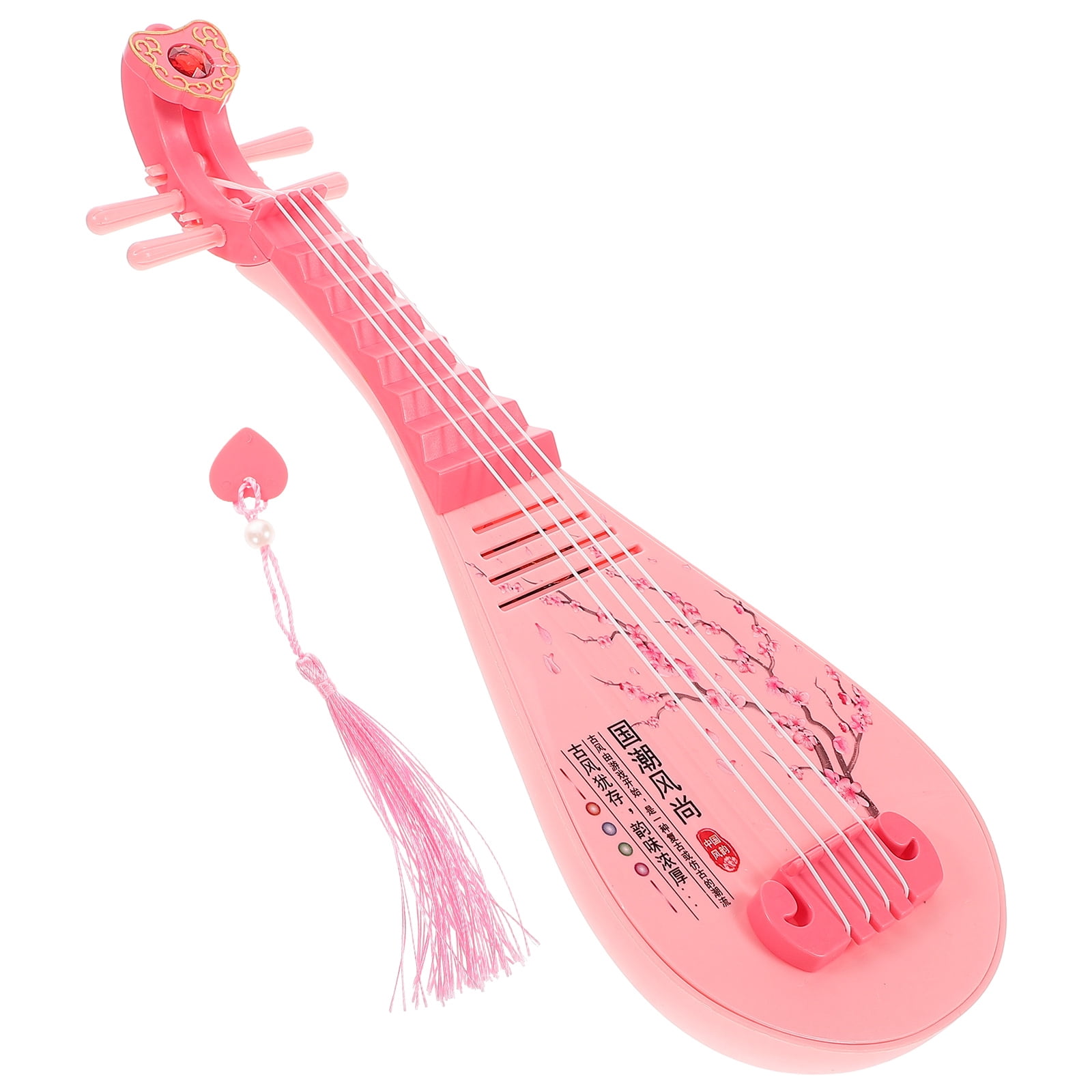 Pipa Instrument