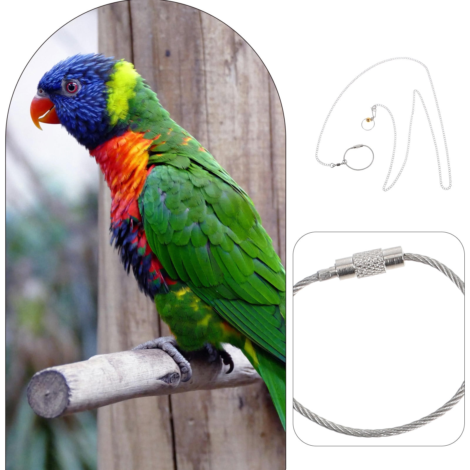 Masteelf Stainless Steel Parrot Neck Collar With Bell 1 Meter Secure ...