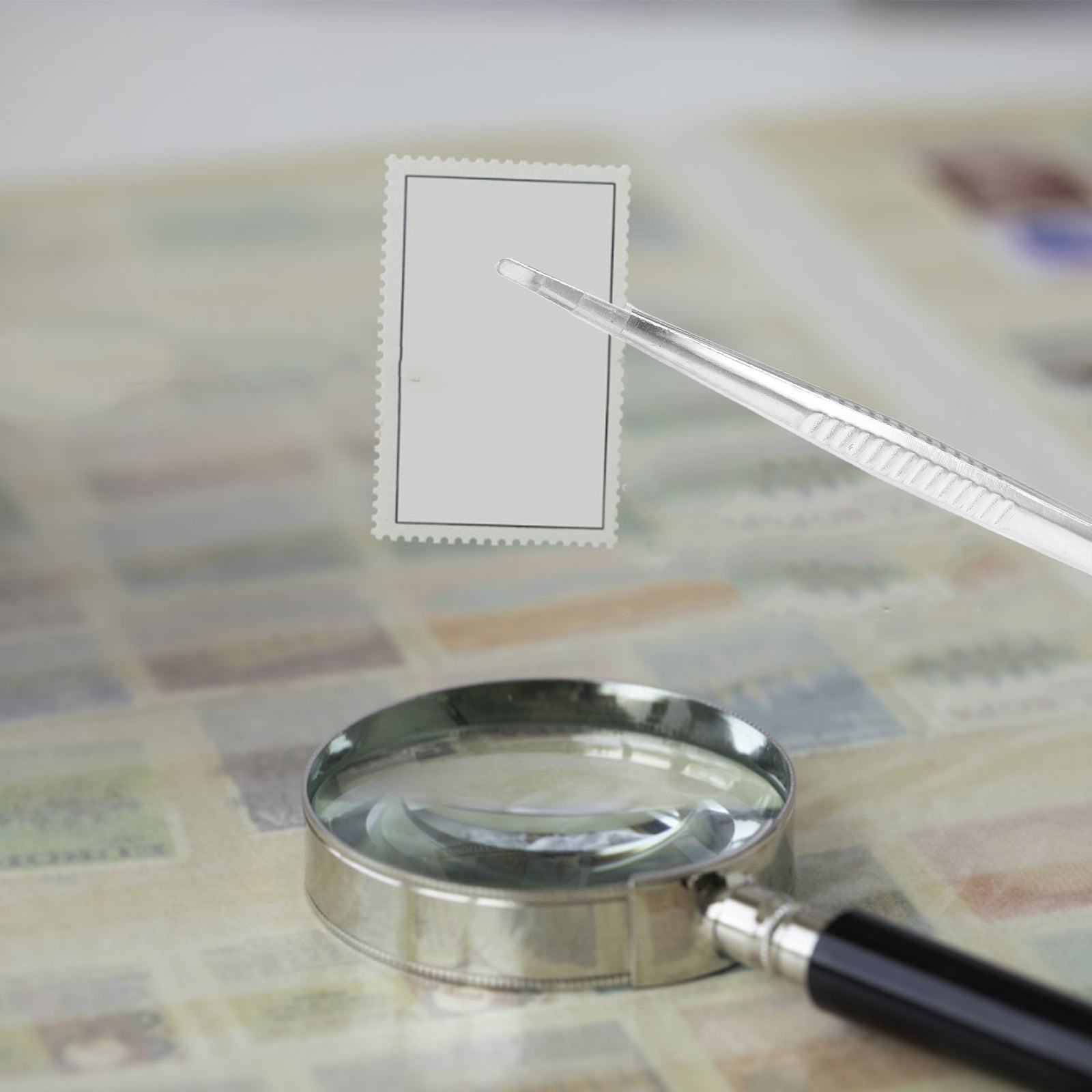 Masteelf Stainless Steel Tweezer for Stamp Handling specimen Specimen ...