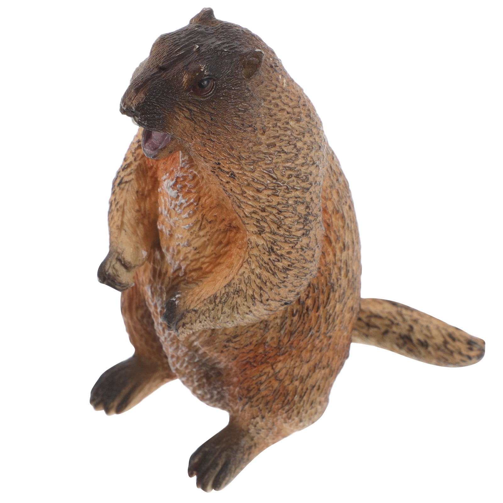 Masteelf Standing Groundhog Wild Animal Model Kids Cognition Toy ...