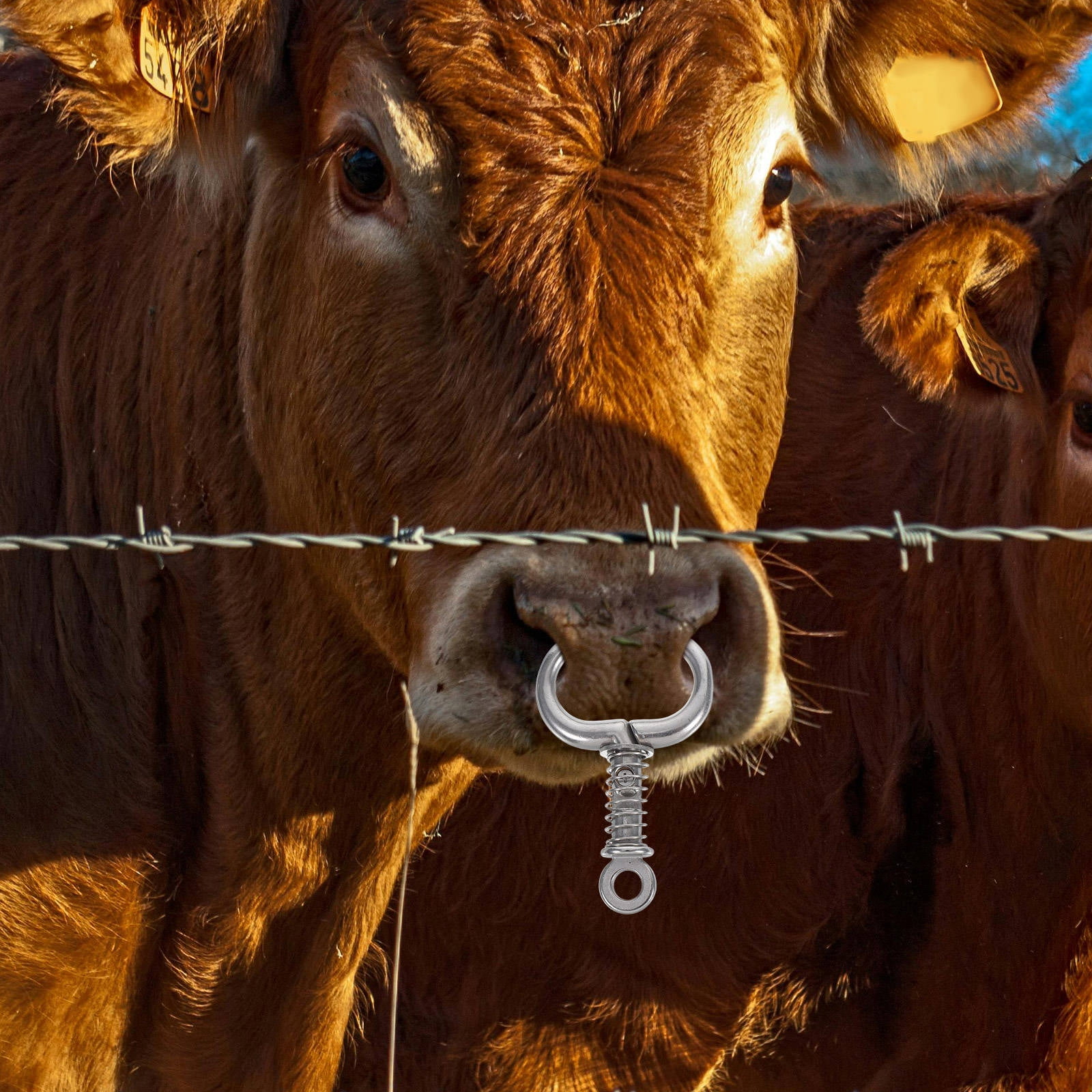 Masteelf Steel Cattle Nose Piercing Ring Cow Nose Ring Livestock Spring ...