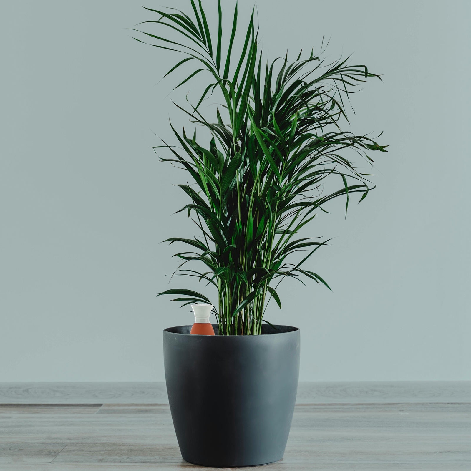 Masteelf Terracotta Self Watering Planter Insert Automatic Watering ...