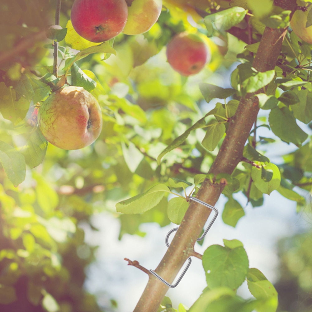 Masteelf Tie Stick Shaper Puller Pulling Tree Angle and Shaping ...