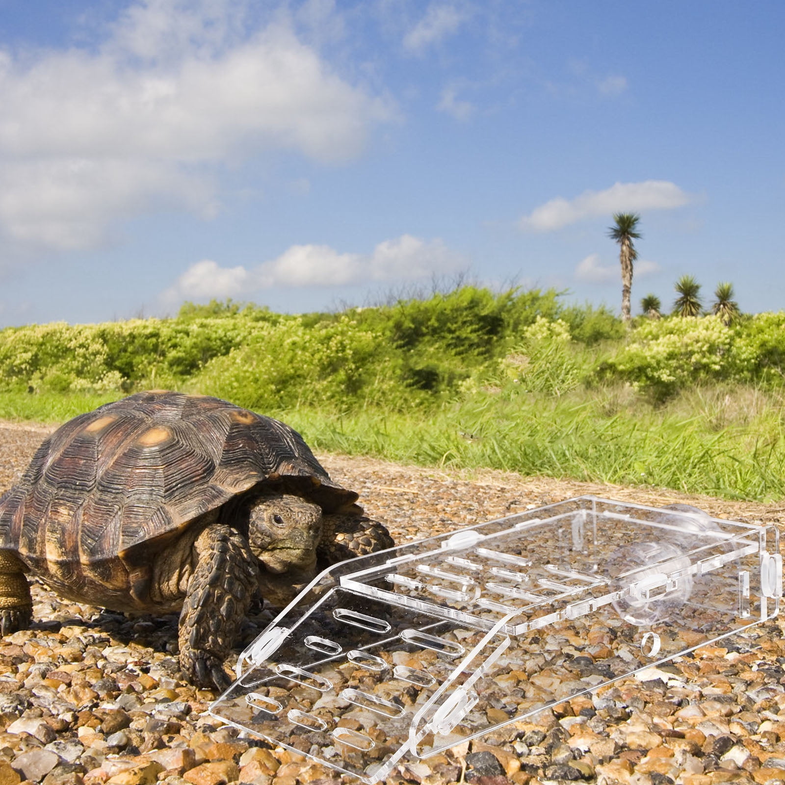 KALLORY Terrarium Basking Platform Decor Turtle Basking Platform White ...