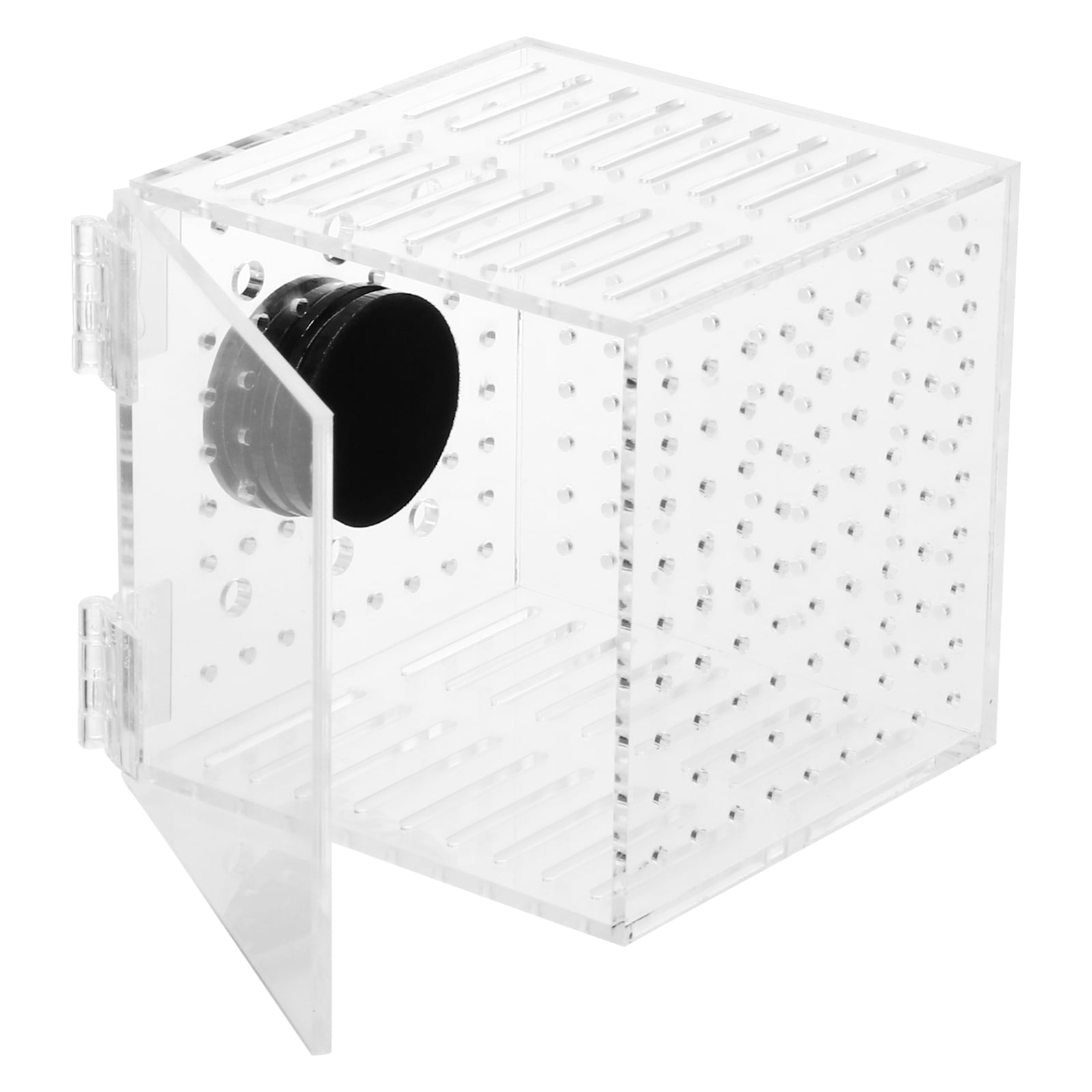 Masteelf Transparent Acrylic Fish Isolation Box with Magnet for ...