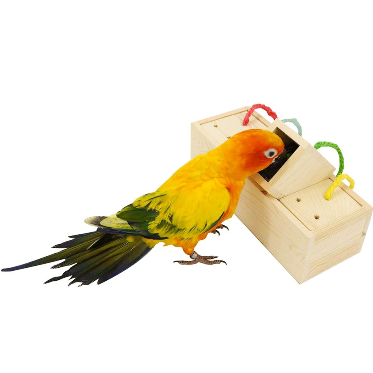 Masteelf Wooden Box Foraging Feeder Pigeon Mini Macaw Feeder 21*8*6cm ...