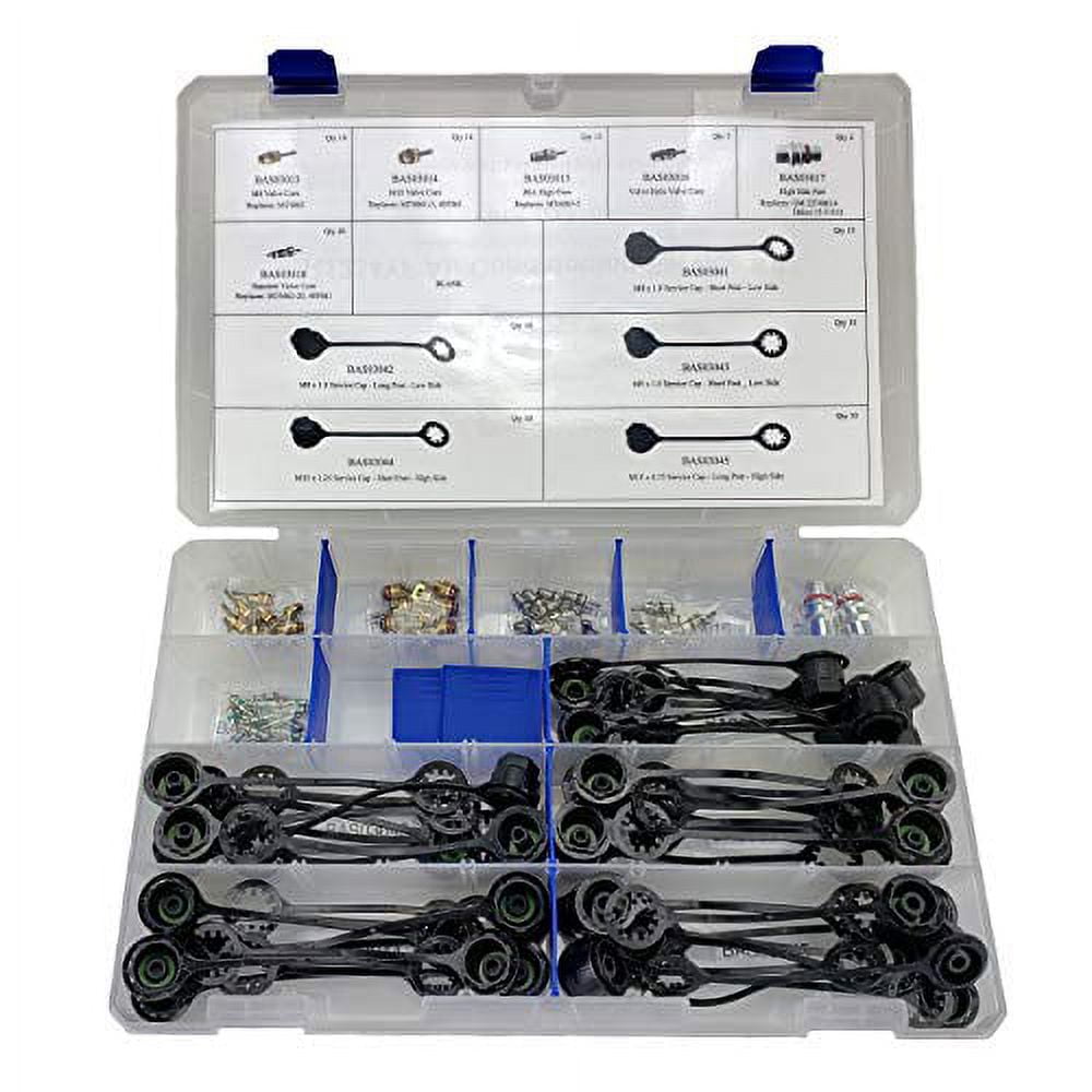 Master 1234yf A/C Valve Core & Cap Assortment Kit - 11 Styles / 112 ...
