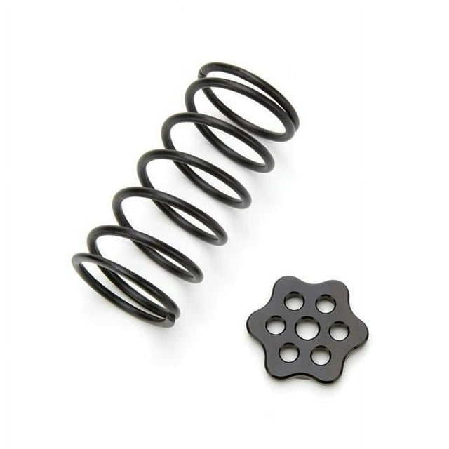 Master Cylinder Return Spring Kit - All Black - Walmart.com