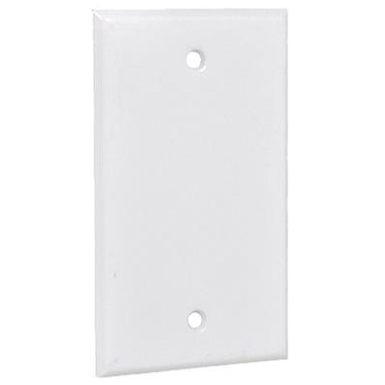 Master Electrician 1BC-W Weatherproof Rectangular Blank Cover, Single ...