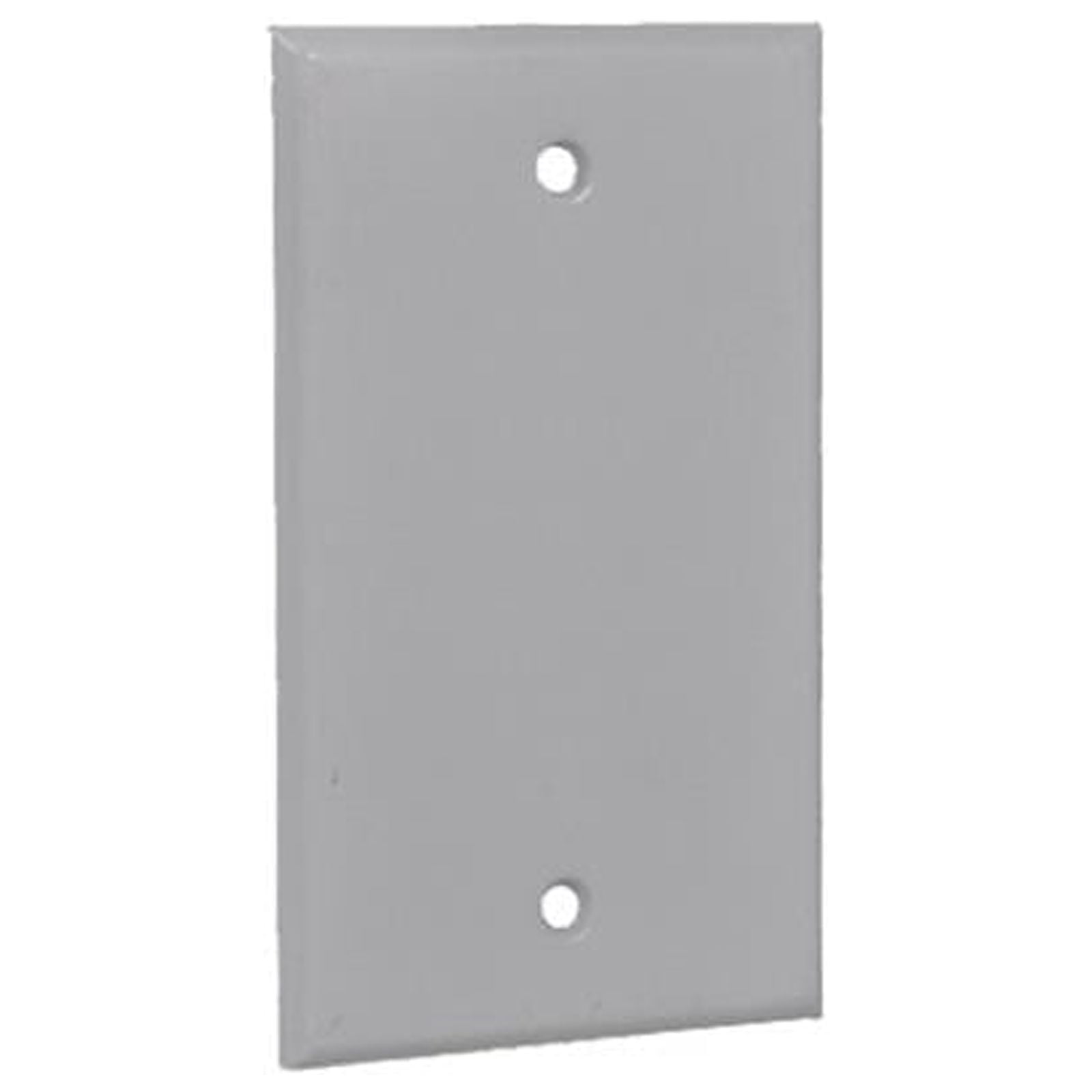 Master Electrician 1BC Weatherproof Rectangular Blank Cover, 1-Gang ...