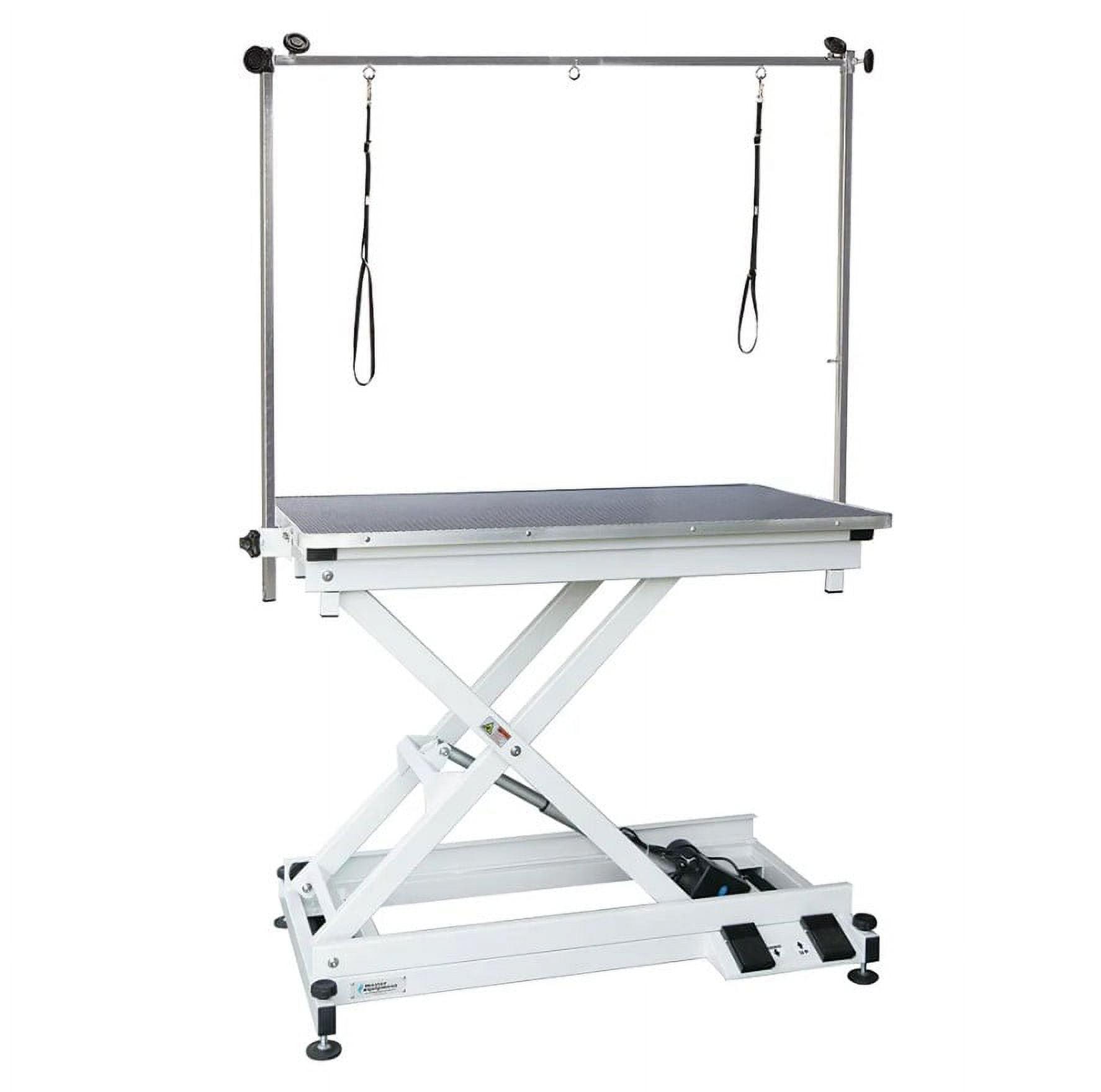 Master Equipment X-Tend Electric Pet Grooming Table for Dog and Cat ...