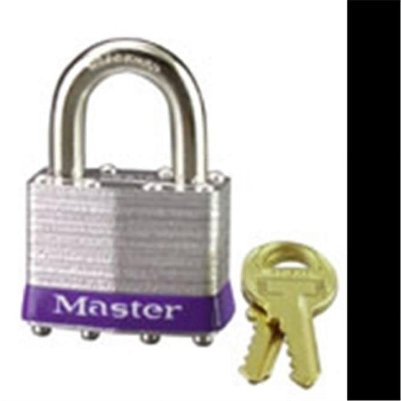 Master Lock 1-5/16 in. H X 1-9/16 in. W X 1-1/2 in. L Steel Double ...