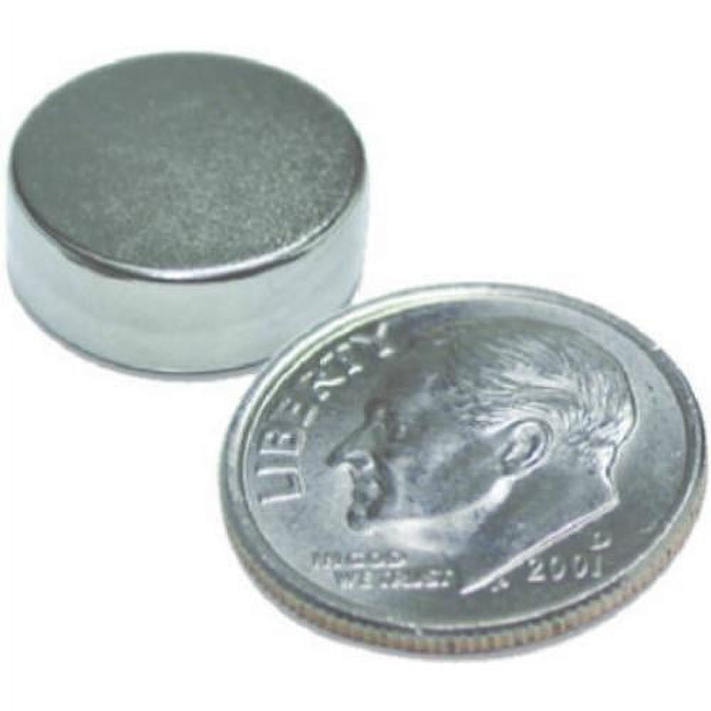 Master Magnetics 07045 Neodymium Super Magnets, 0.3" x 0.11", 10-Pack ...