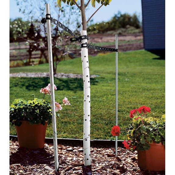 "Master Mark TreeMaster 24"" Spiral Tree Protector, Plastic Guard, Tree ...