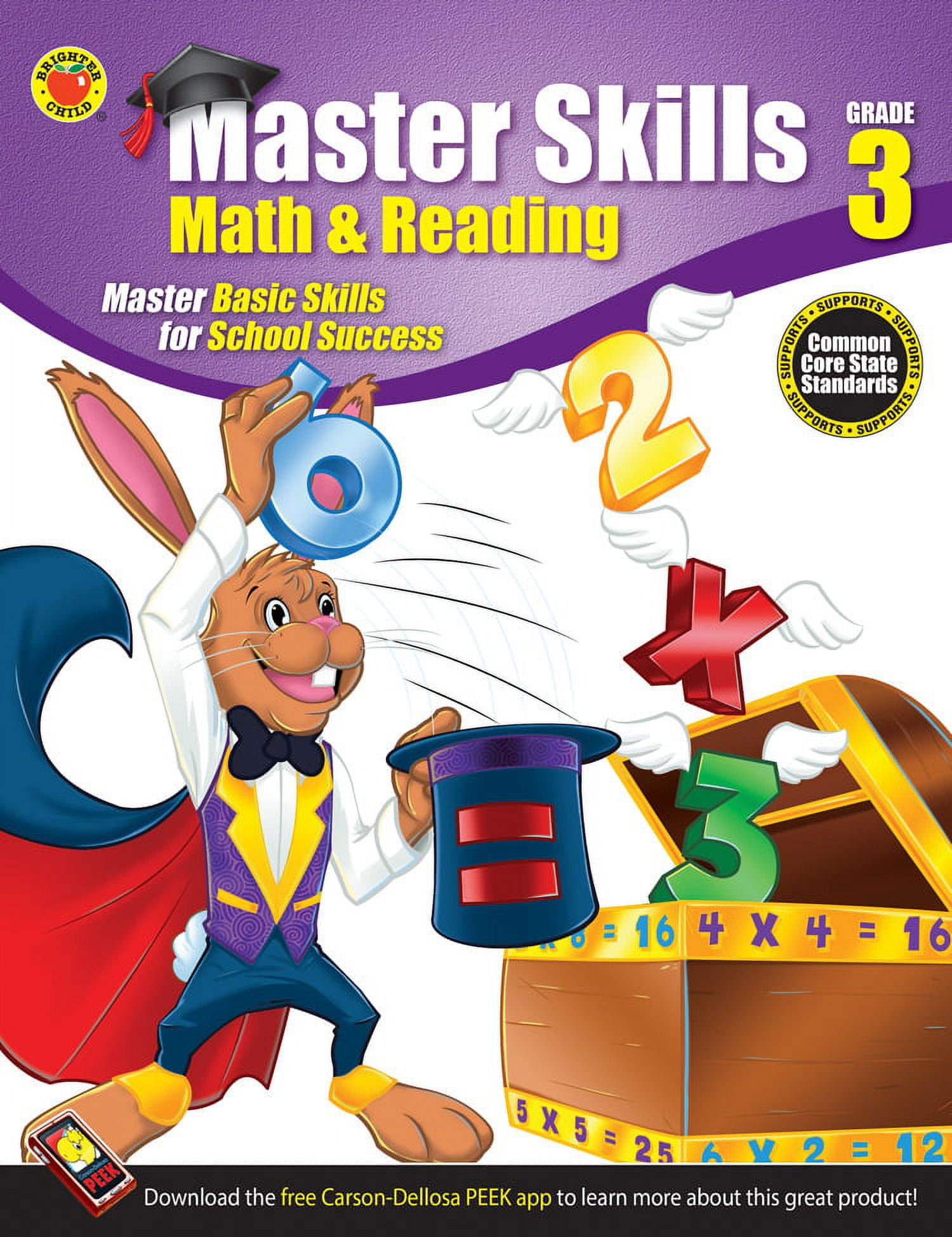 Master Skills: Math & Reading, Grade 3 (Paperback) - Walmart.com