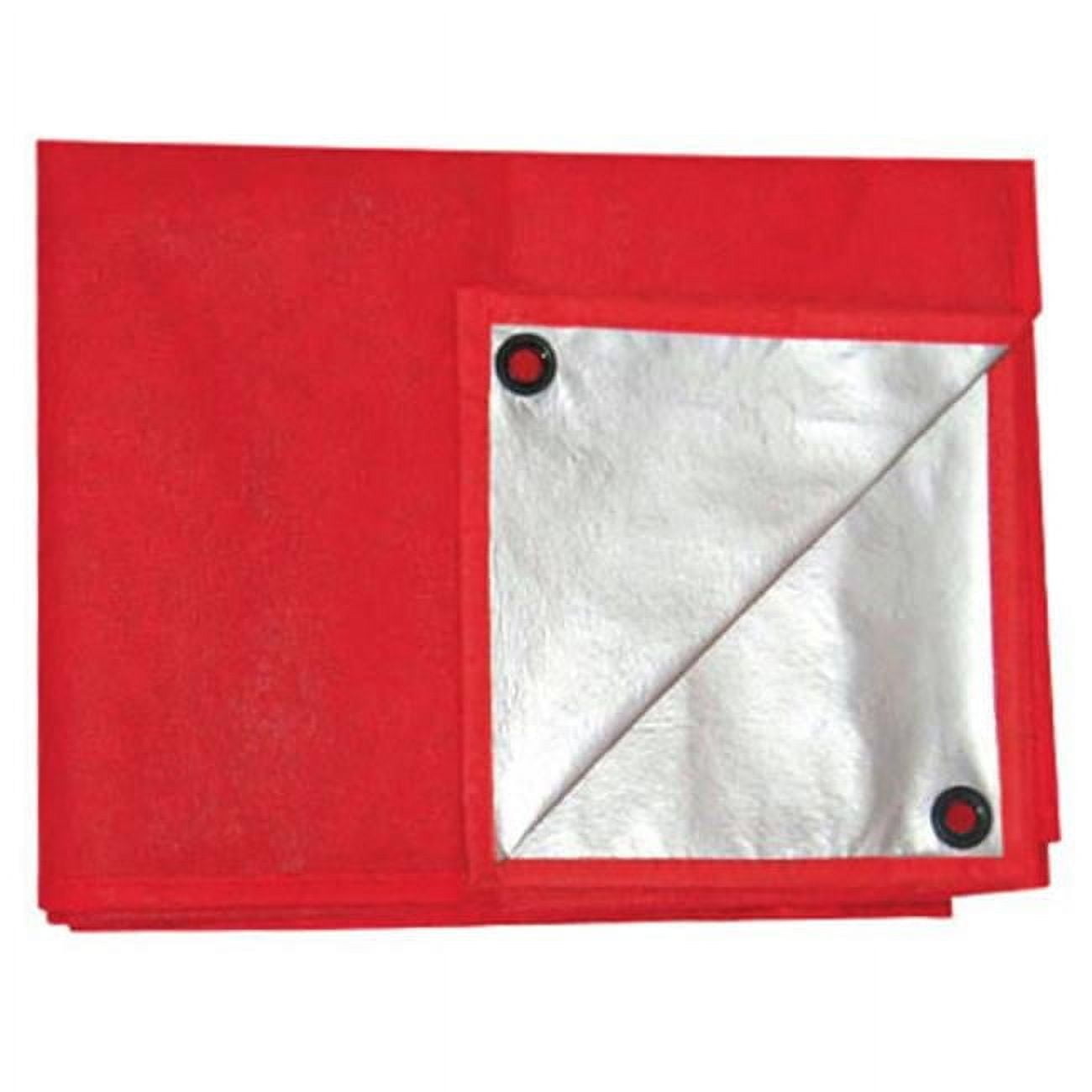 Master Tradesman MT5X7REDSILVERPICNIC 5 x 7 ft. Picnic Tarp- Red ...