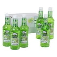 Master of Mixes Sour Apple Martini Drink Mix, Ready to Use, 1 Liter ...