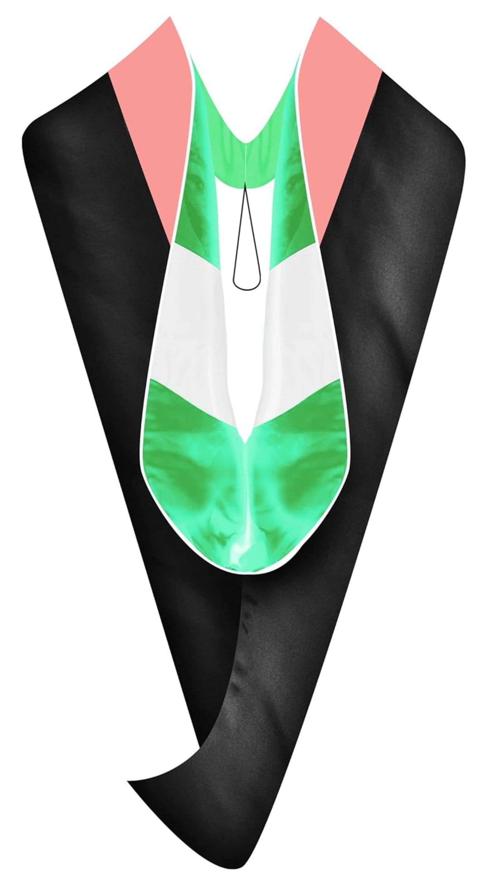 Master of Public Health Master Hood MPH Salmon Pink Graduation Master ...