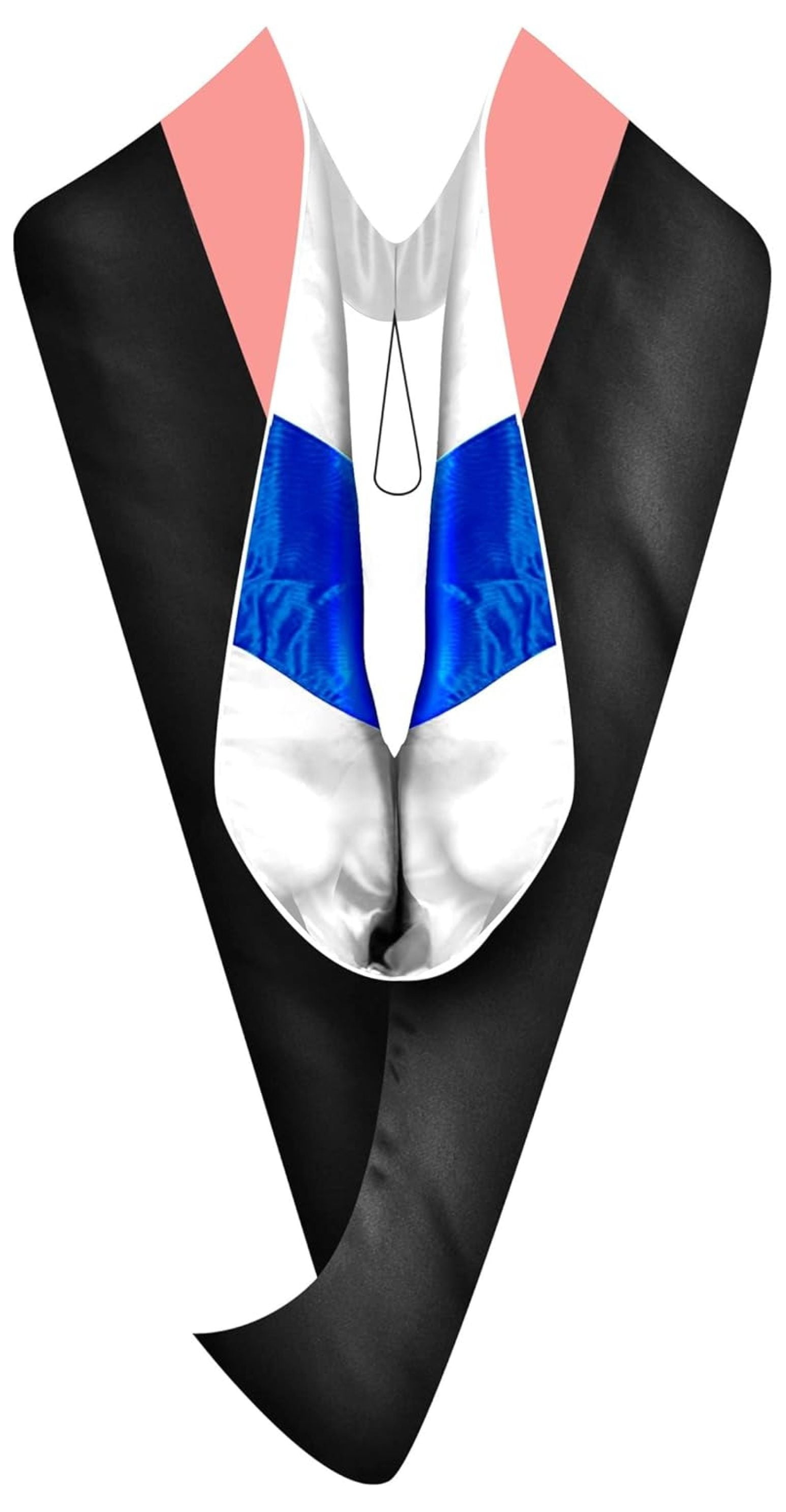 Master of Public Health Master Hood MPH Salmon Pink Graduation Master ...